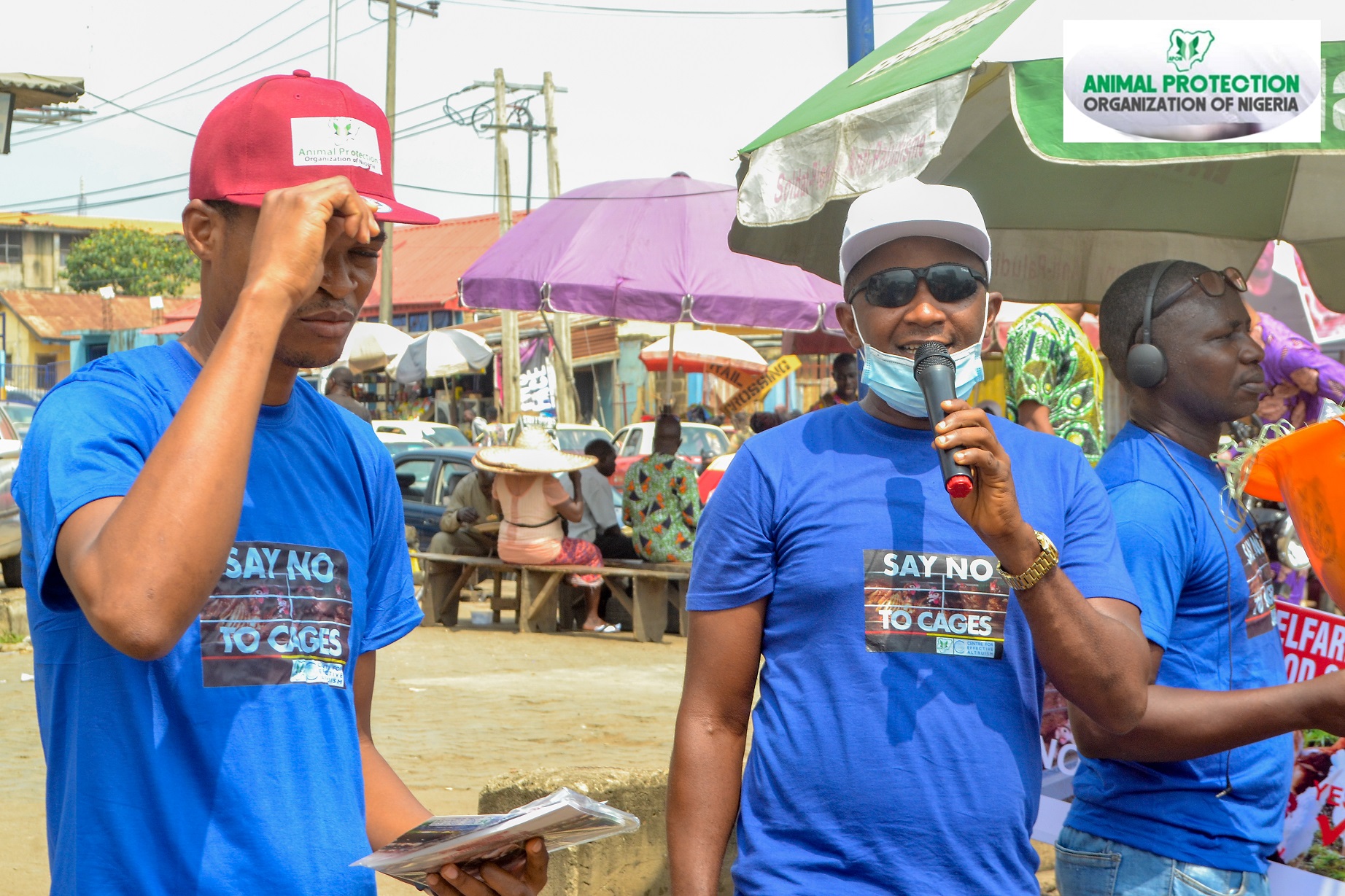 Open Wing Alliance wins Global Victory for Laying Hens – APON